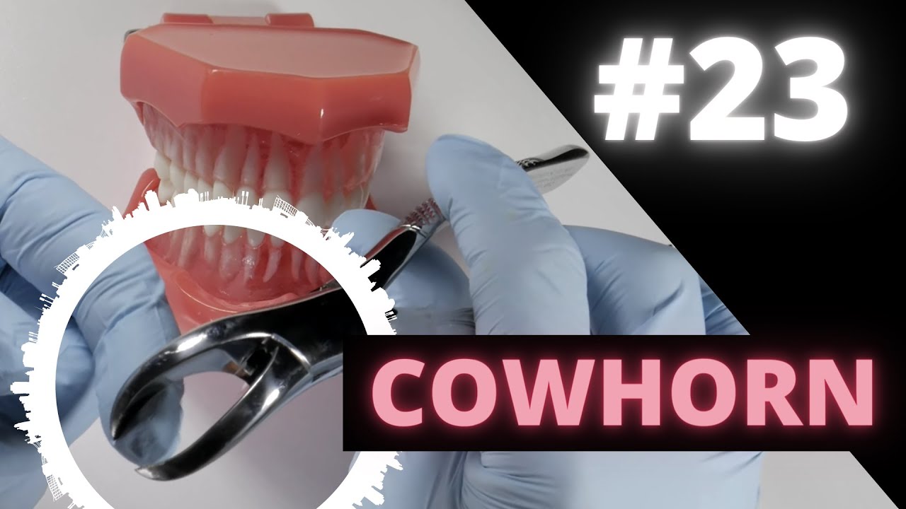 Mastering The #23 Cowhorn Forcep | OnlineExodontia.com - YouTube