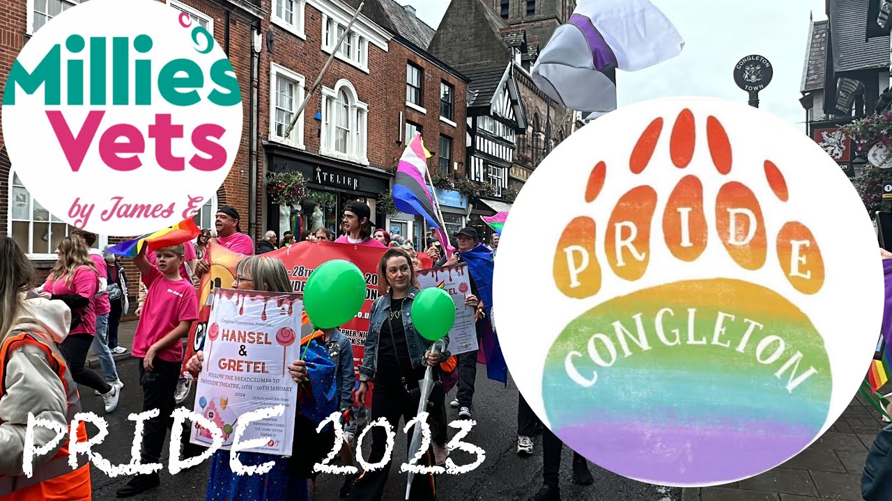PRIDE Congleton 2023 what a great event - YouTube