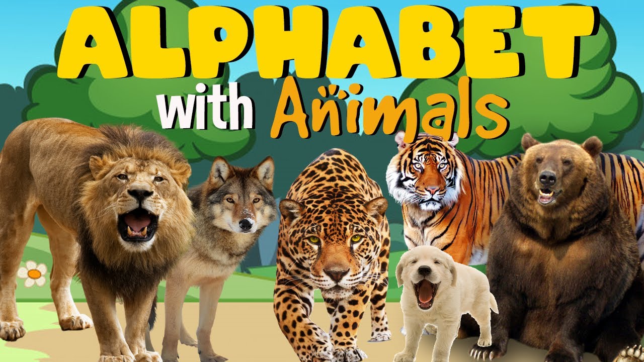 Alphabet with Animals | ABC for kids - YouTube