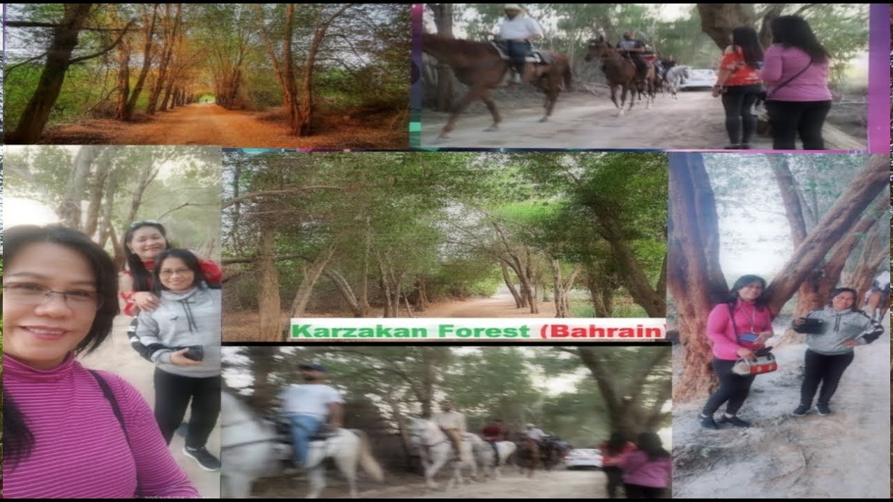 Adventure in the forest of meddle east karsakan forest Bahrain 🇧🇭 - YouTube
