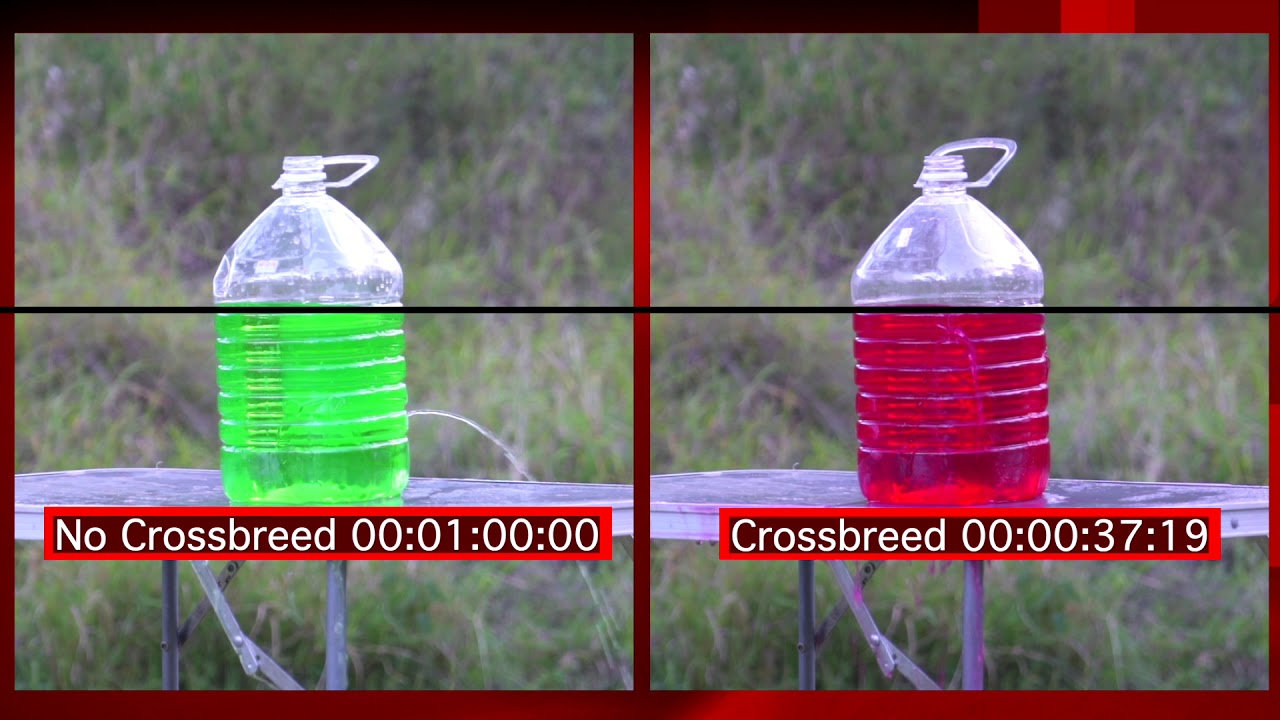 Crossbreed Broadhead blood loss test - fixed blade and mechanical - YouTube