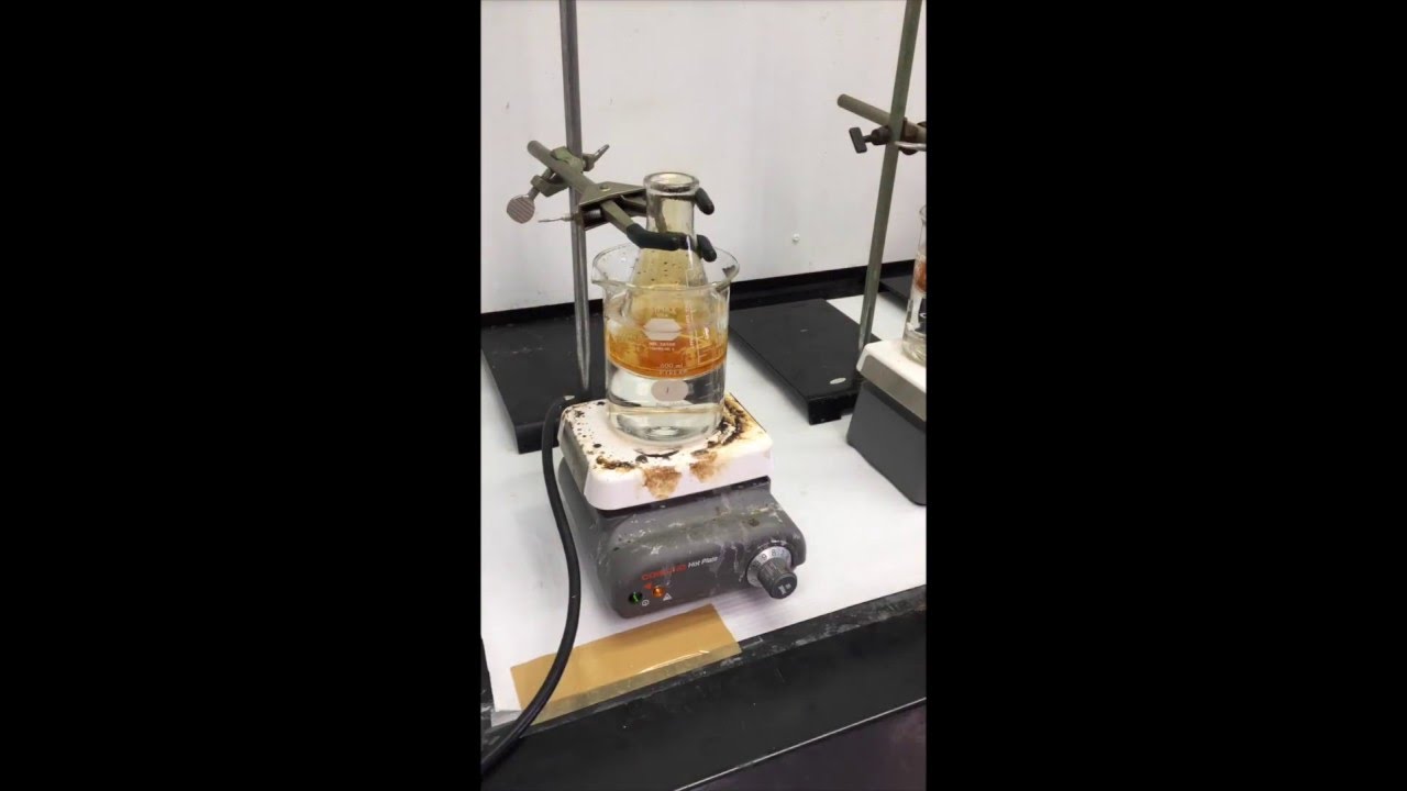 Sample Digestion - YouTube