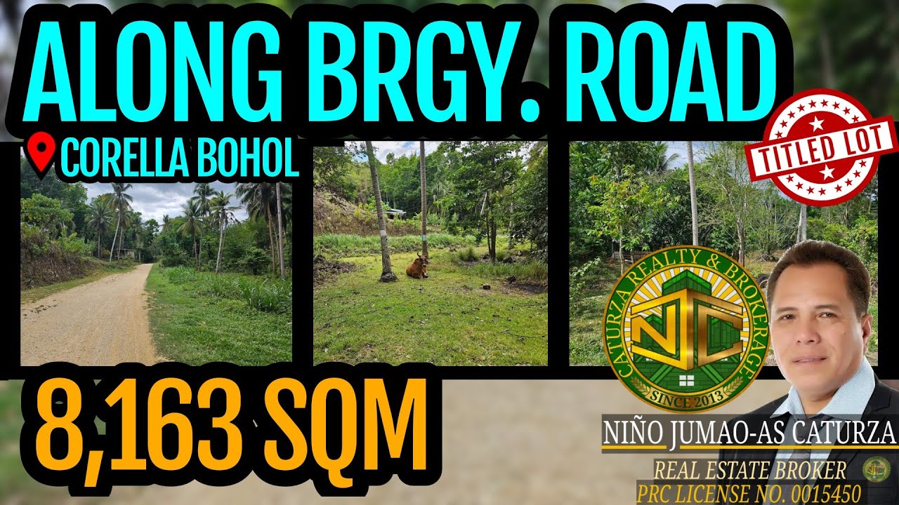 Lot for sale 8,163 sqm title Corella Bohol Philippines 350/sqm ...