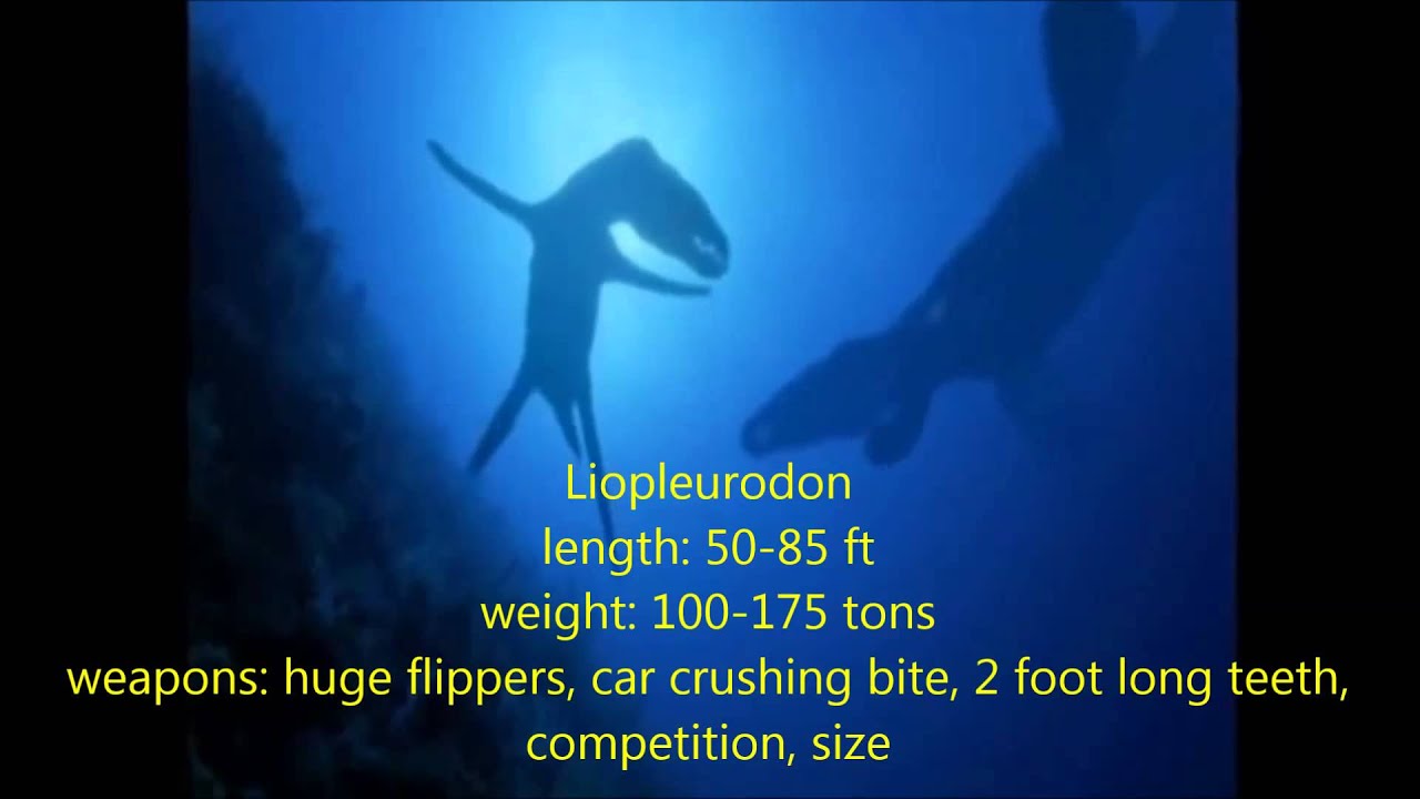 Prehistoric Fight Club Episode 12: Megalodon vs Liopleurodon Super Bowl ...