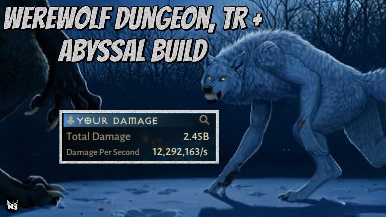 Best PvE Druid Build Guide - Diablo Immortal (Werewolf) - YouTube