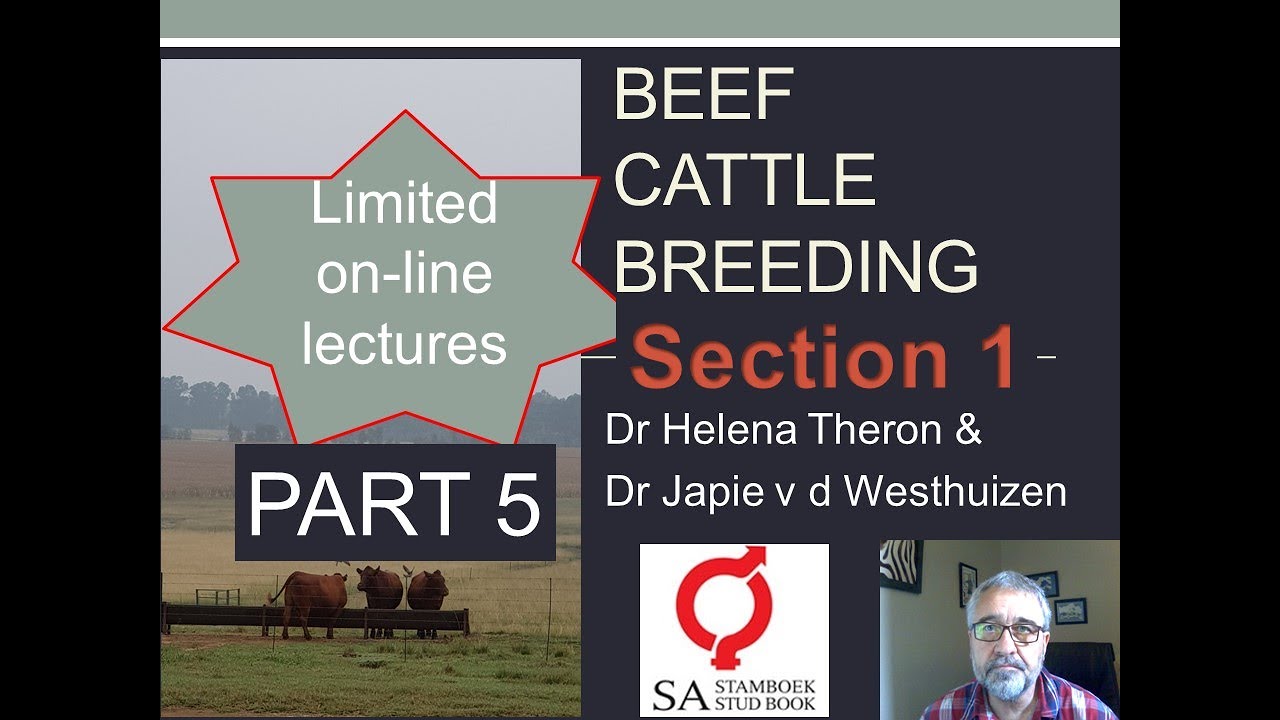 5 Online English Beef Cattle Breeding Course Section 1 PART 5 - YouTube