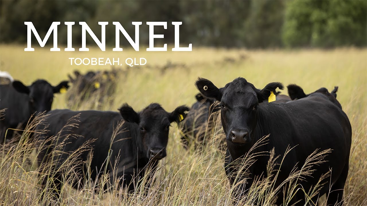 ‘Minnel’, Toobeah, Qld - YouTube