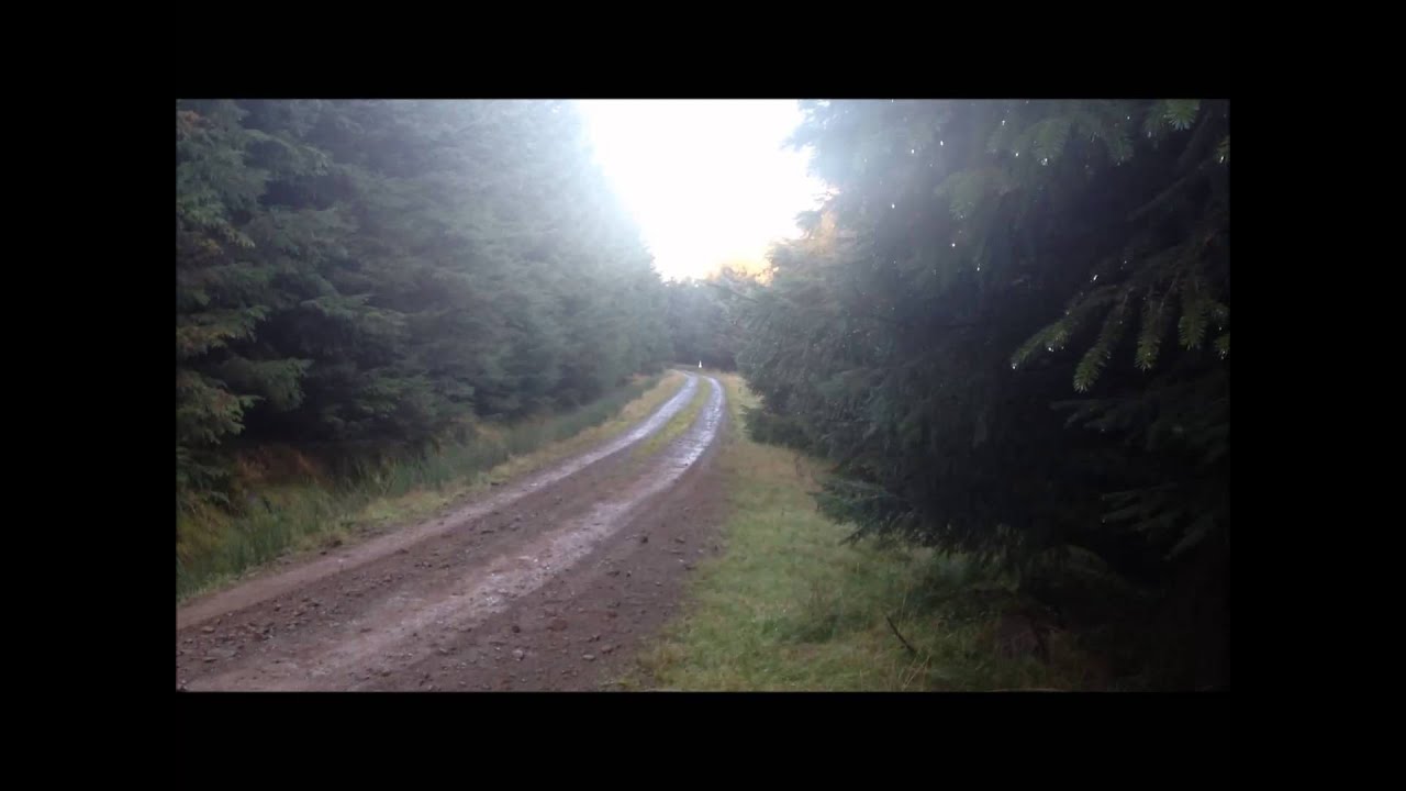 Roger Albert Clark Rally november 2013 (RAC) Newcastleton forest all ...