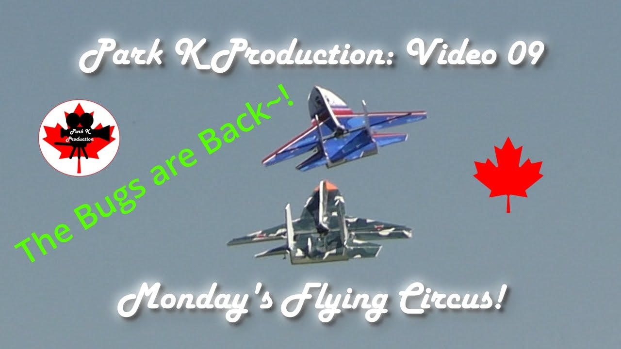 Monday's Flying Circus - The Bugs are Back! - YouTube