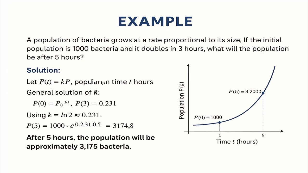 232 project - YouTube
