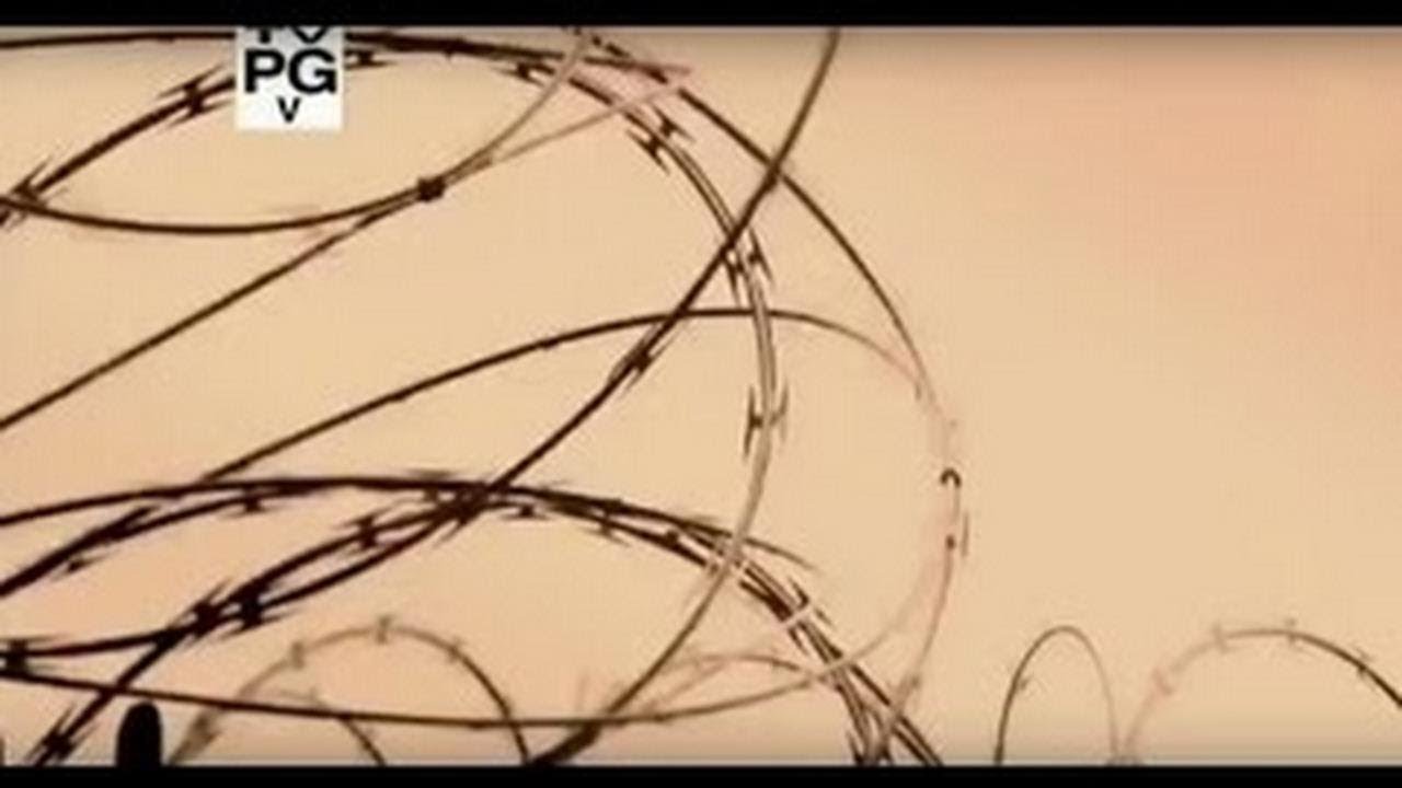 Documentaries Best |The Best Documentary Ever - NOVA SCIENCE NOW ...