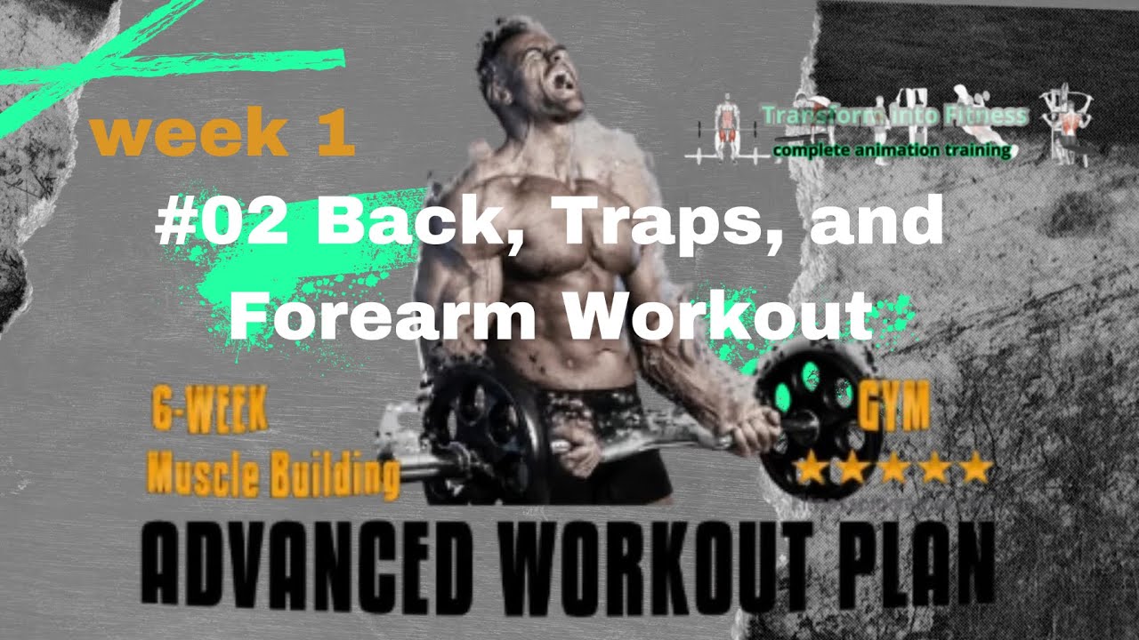 week 1 #02 Back, traps and forearms training6 Week Advanced Workout ...