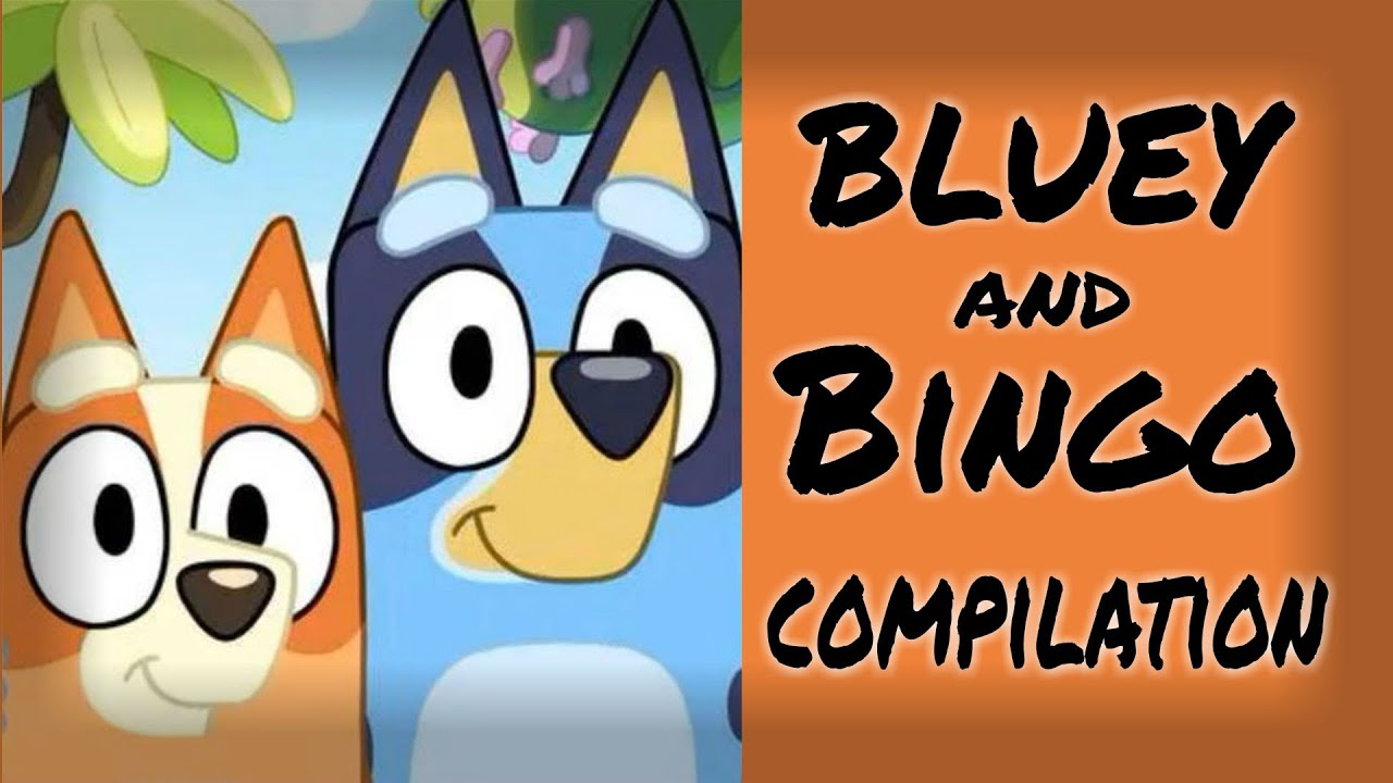 Bluey and Bingo | Photos Compilation - YouTube