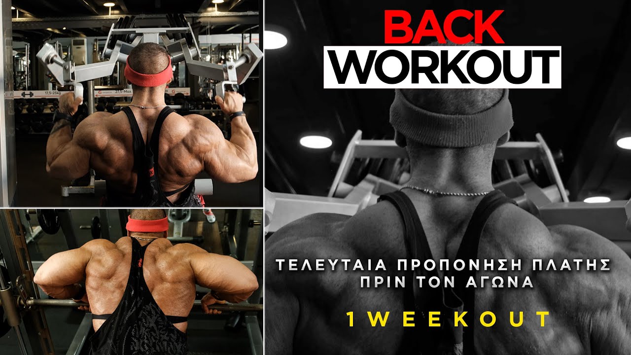 ΤΕΛΕΥΤAIΑ ΠΡΟΠΟΝΗΣΗ ΠΛΑΤΗΣ //1 WEEK OUT //ΤΕΛΙΚΗ ΕΥΘΕΙΑ EP35SEO3 - YouTube