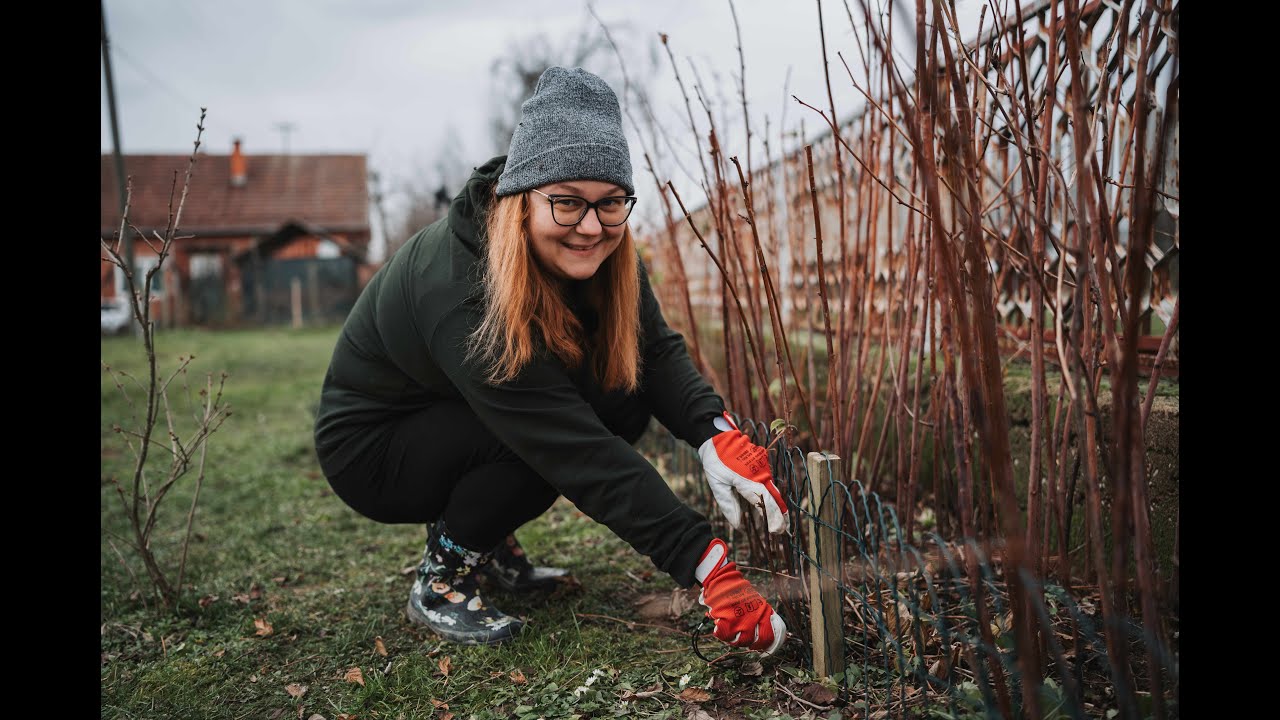 Maline pričaju: Molimo vas, ošišajte nas! – Rezidba malina na zabavan način! - YouTube