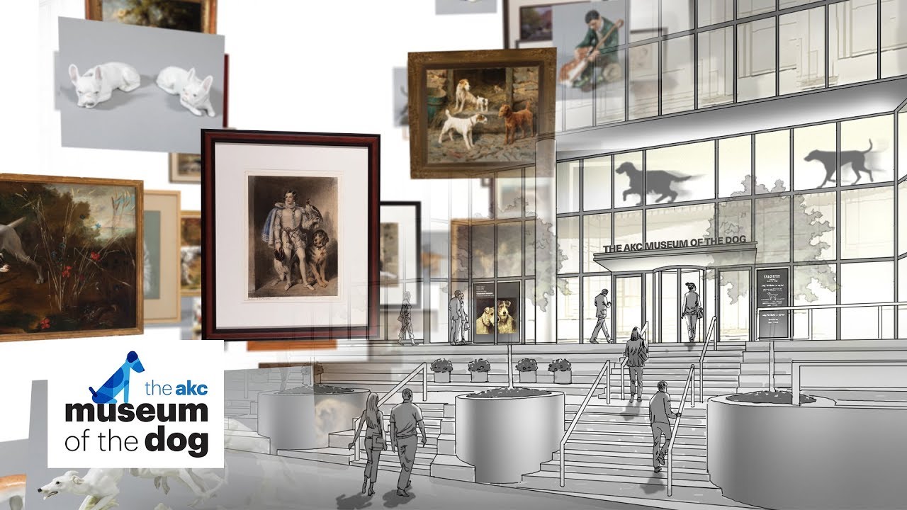 AKC Museum of the Dog - YouTube