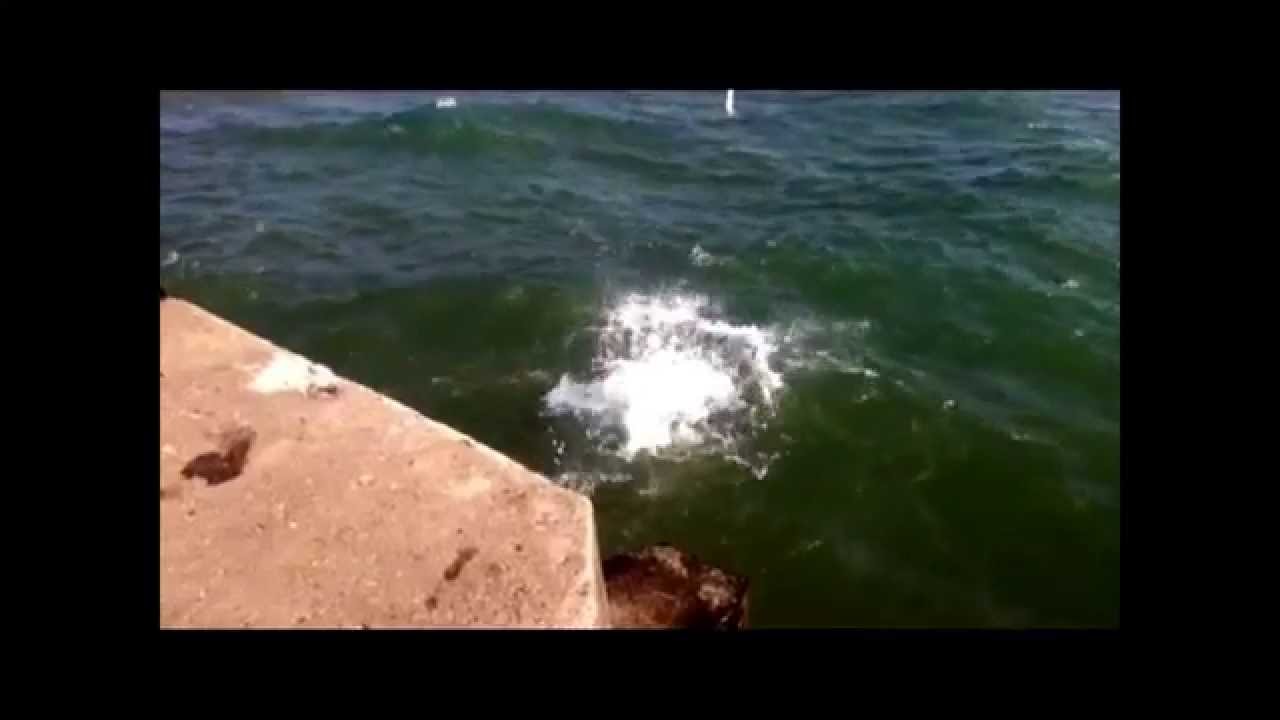 A 15 foot drop into lake michigan - YouTube