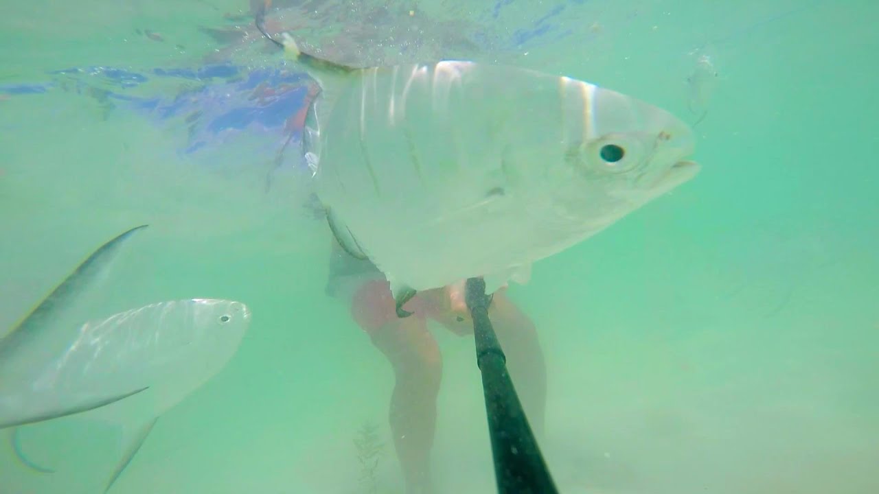 RIU Tequila - Fishing at RIU Yucatan beach (GoPro Hero 4S) - YouTube