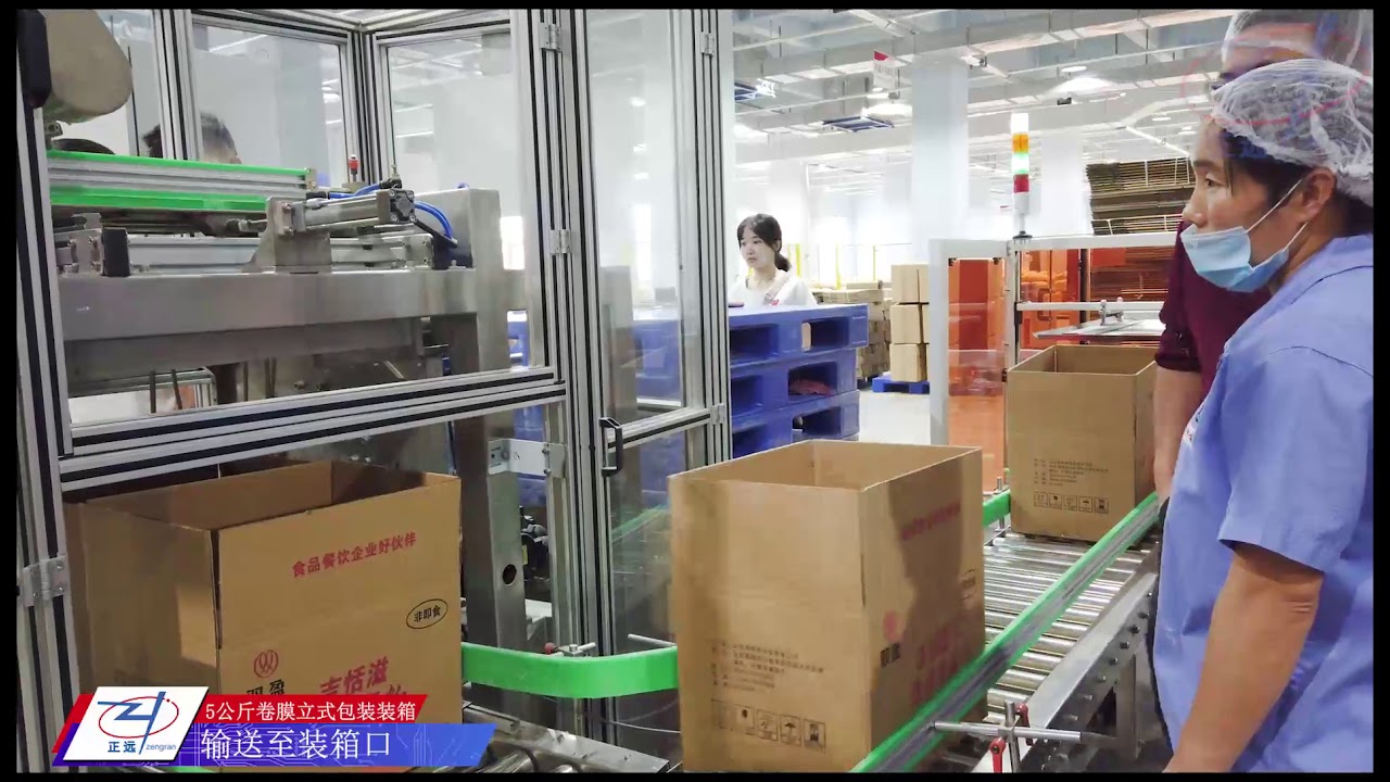 Vertical machine FFS packaging line (5kg/bag) + cartoning line ...