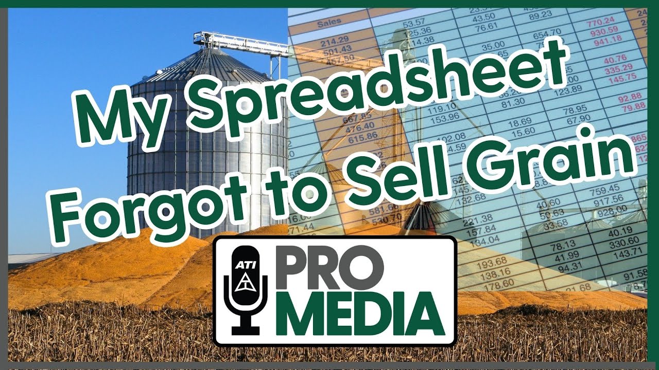 My Spreadsheet Forgot to Sell Grain - YouTube