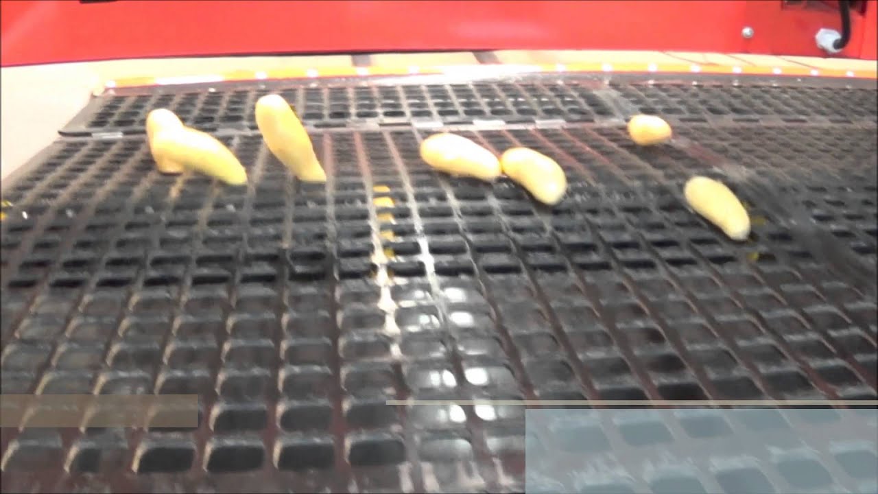 DOWNS potato and onion web grader - YouTube