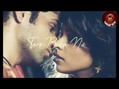 #TEREBINANA #STATUS #SANJAYVATS #WHATAPPSTATUS WHATSAPP STATUS TERE BINA NA