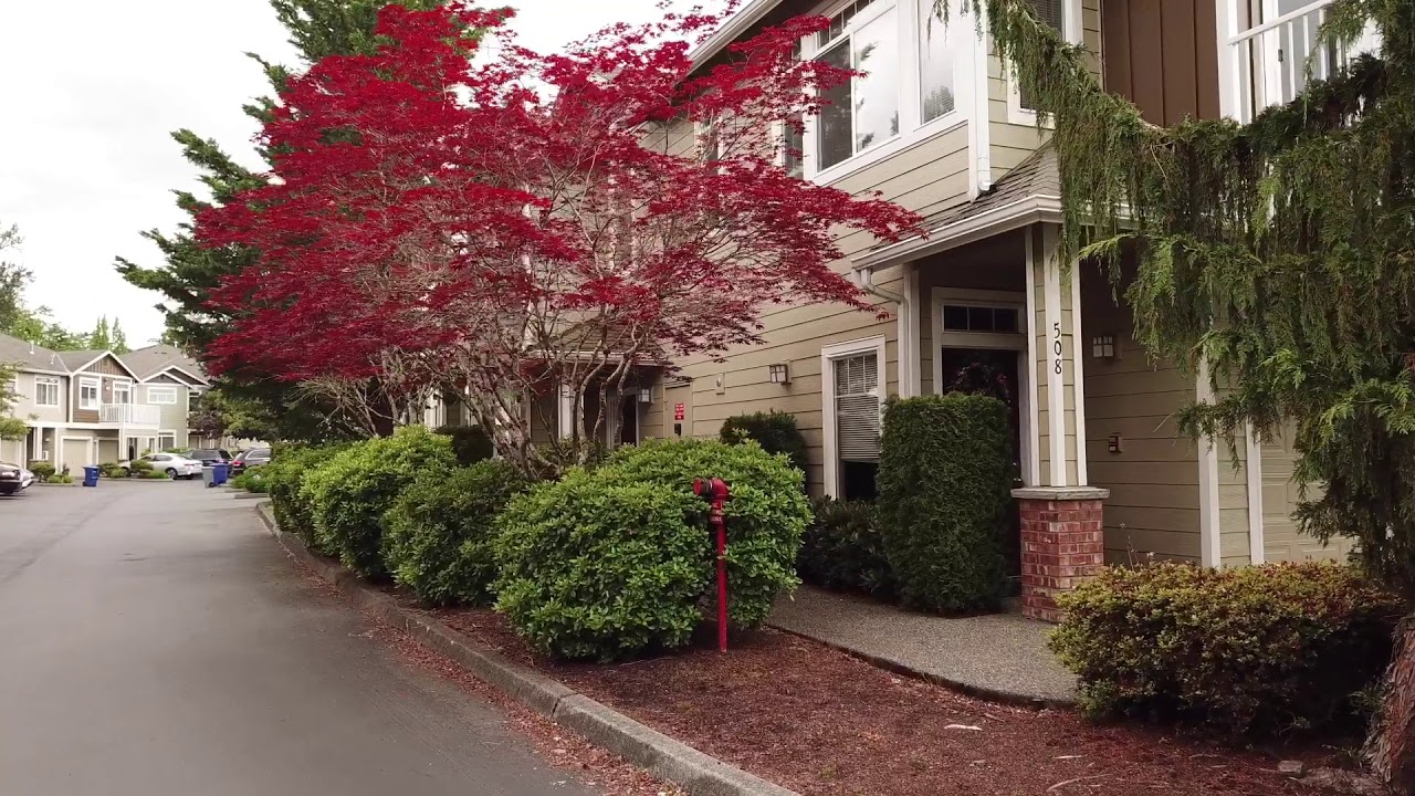 510 241st Lane - Cameray Condo - YouTube