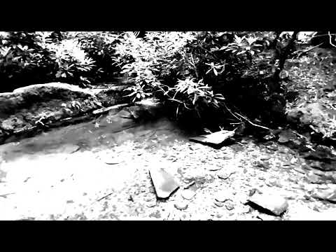 Lorn Calm Mix