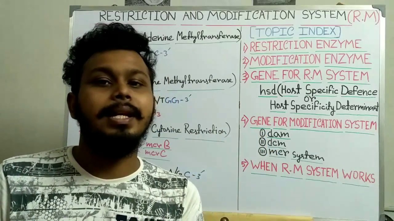 Restriction Enzyme | Restriction Modification system | - YouTube