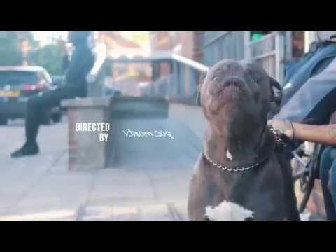 HitMan x Da - Like Dat (Müzik Videosu)