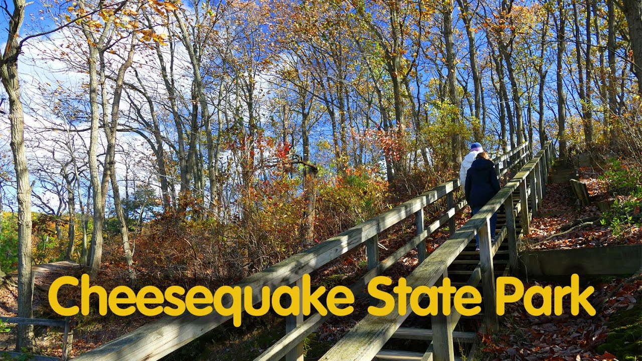 Cheesequake State Park (11-02-2020) - YouTube