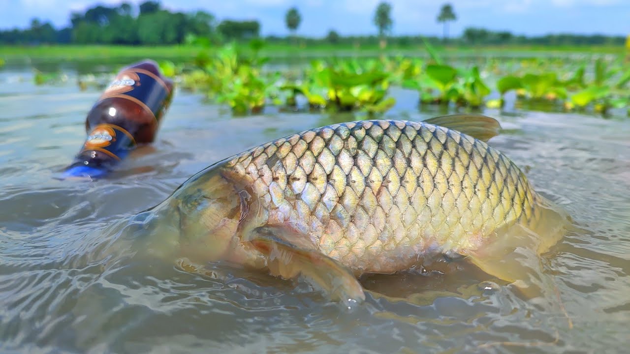 Wow! Amazing Plastic Bottle Hook Fishing Technique | Traditional Hook ...