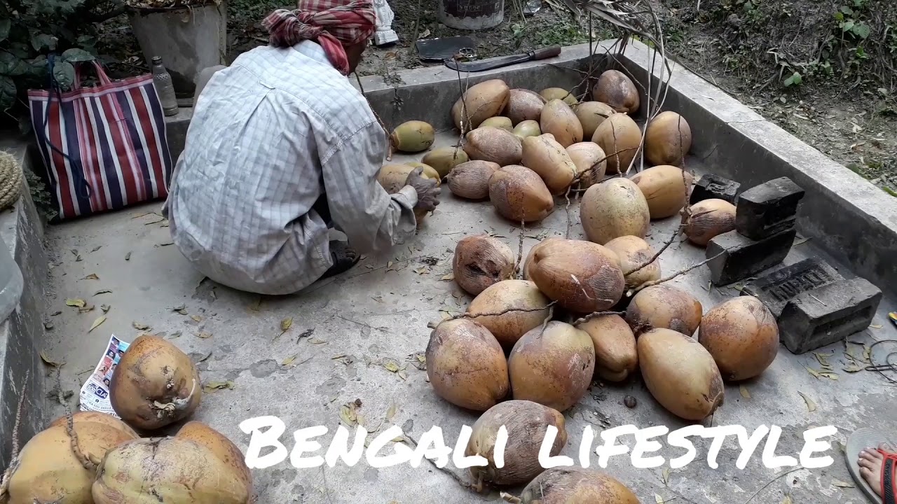 Barir Narkel Gaach Charano(coconut tree)part 1 - YouTube
