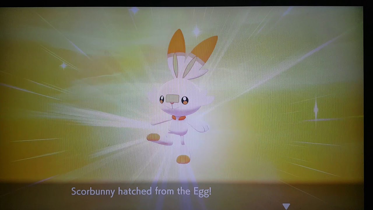 Pokemon sword shiny scorbunny (shiny starters 1/3) - YouTube