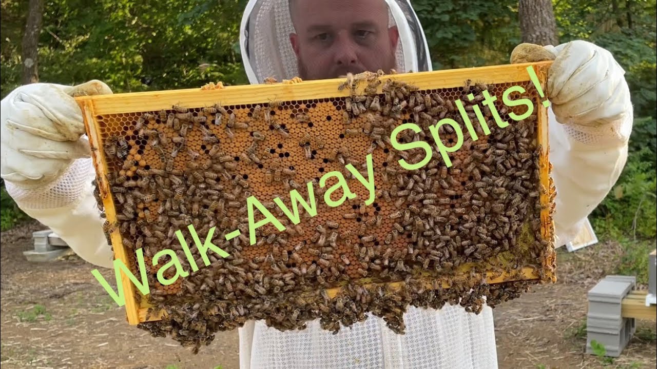 Performing Two Walk-Away Splits - YouTube