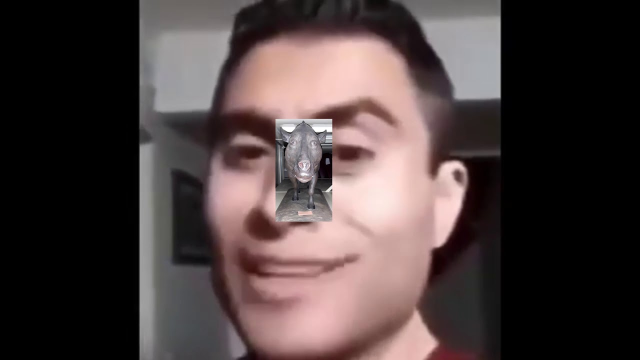 21st century humor sensei baby version - YouTube