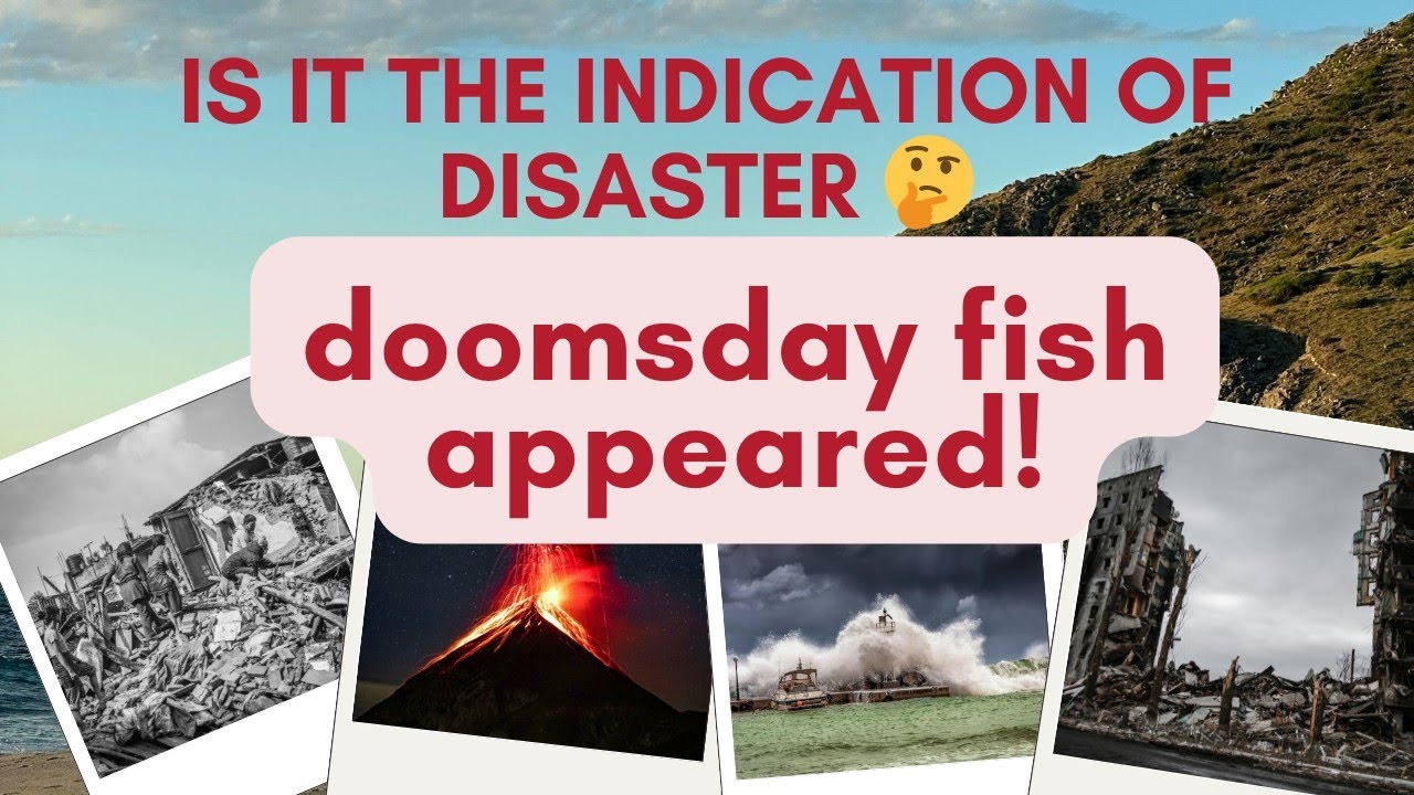 Doomsday fish appeared, is it a sign of destruction or disaster 😲 - YouTube