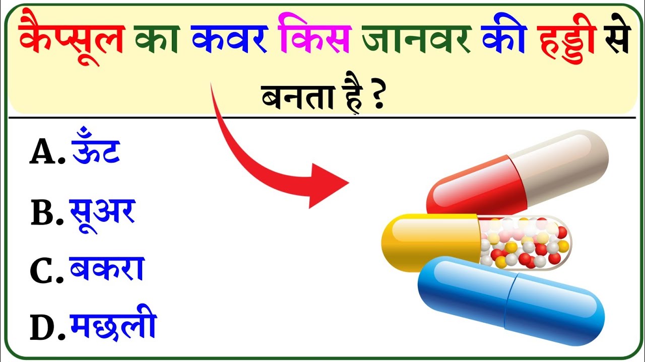 Top 20 Most Important GK Questions and Answers || GK Quiz || Daily Gk ...