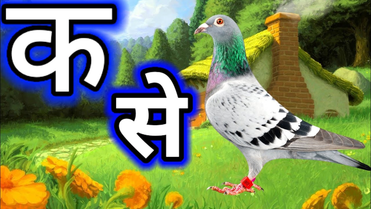 क से कबूतर ख से खरगोश ग से गमला घ से घर हिंदी वर्णमाला वीडियो Hindi ...