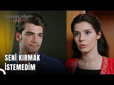 Her Şey İçin Özür Dilerim | Kaderimin Yazıldığı Gün 25. Bölüm