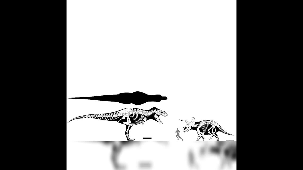 Tyrannosaurus Rex And Triceratops Size Comparison - YouTube