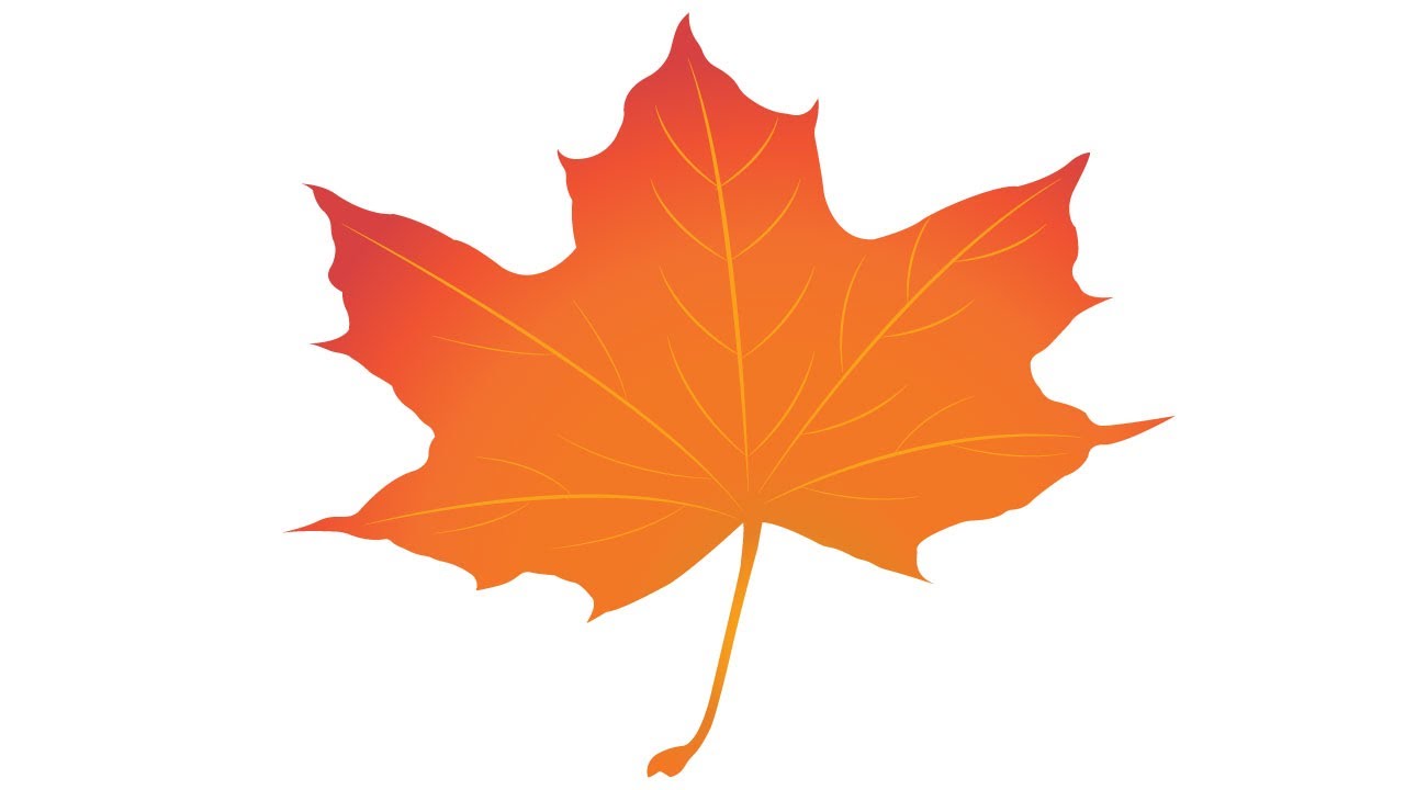 Autumn Leaf In Adobe Illustrator Tutorial - YouTube