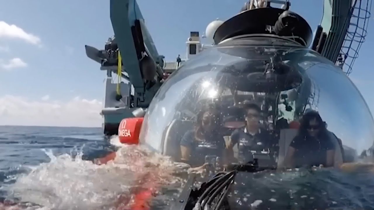 Lancement d’«Ocean Census» pour recenser la vie dans les océans - YouTube