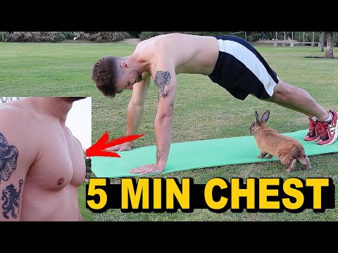 5 MIN CHEST WORKOUT AT HOME (NO GYM NO EQUIPMENT)