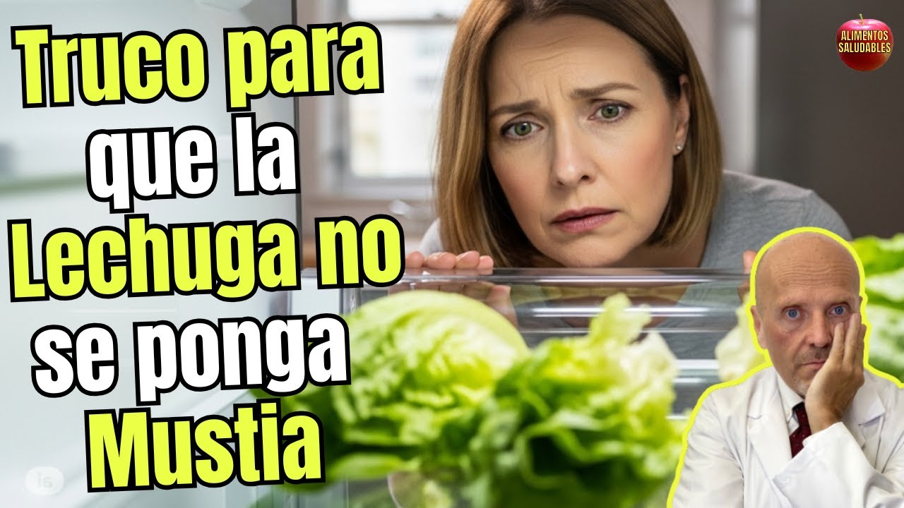 👋 EL TRUCO para que la LECHUGA NO se PONGA MUSTIA en la NEVERA y ESTÉ ...