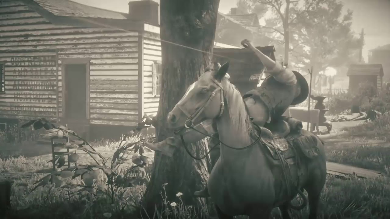 Red dead redemption 2. game play - YouTube
