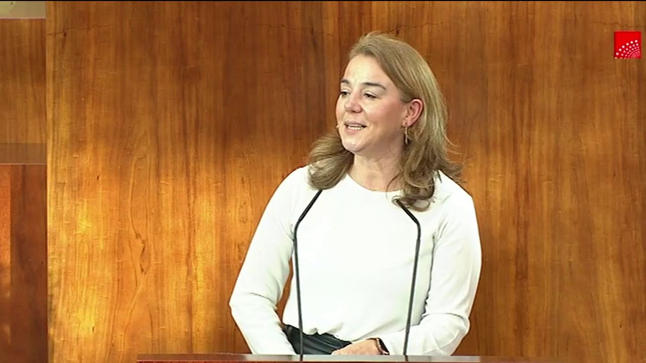 Intervención de Ana Cuartero en el Pleno de la Asamblea de Madrid del ...