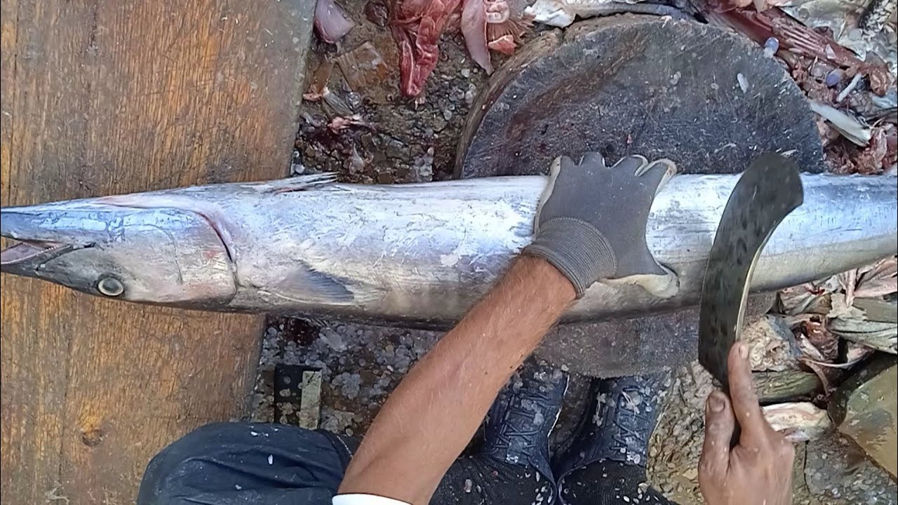 |ghora surmai|fish cutting karachi market|fish cutting video - YouTube