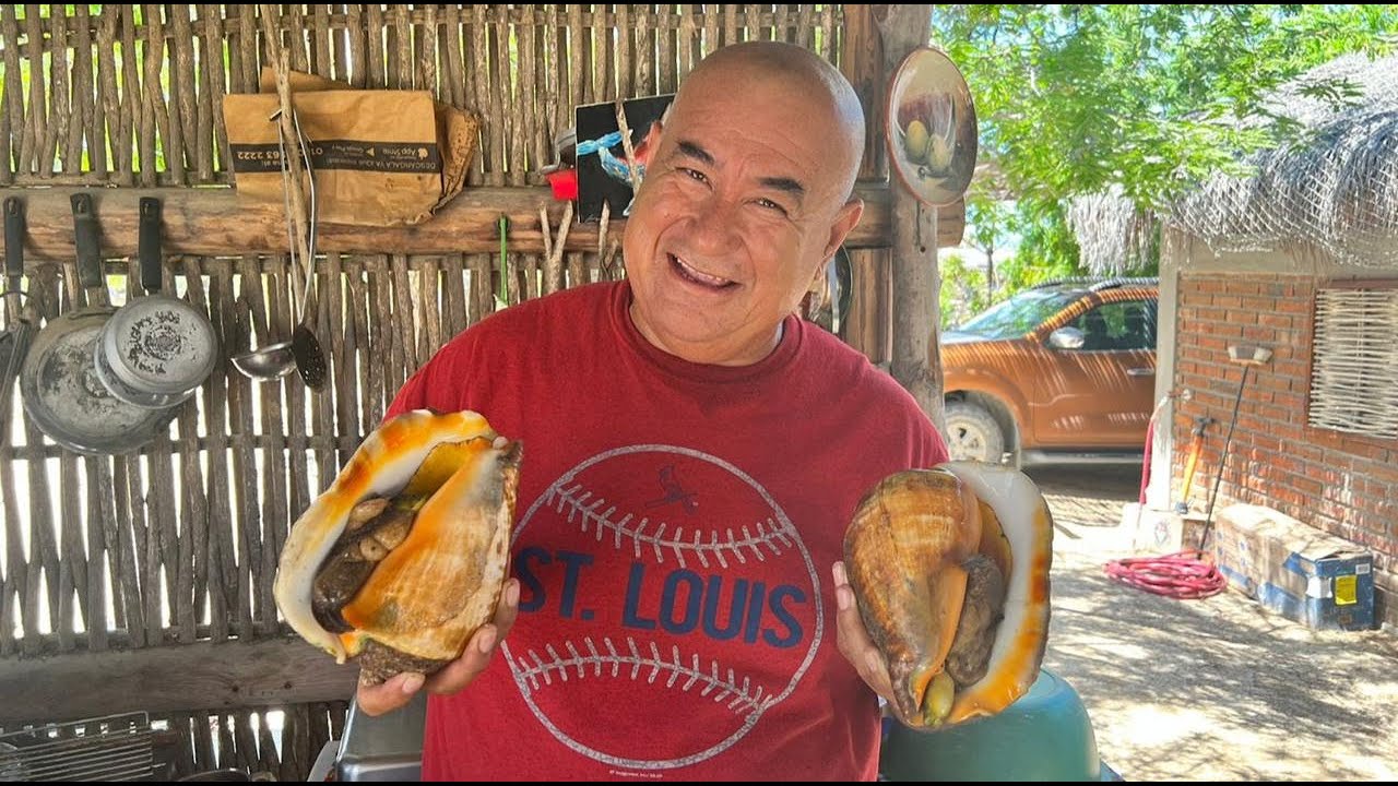Caracol Burro, extraerlo de la concha y cocinarlo para coctel #mariscos ...
