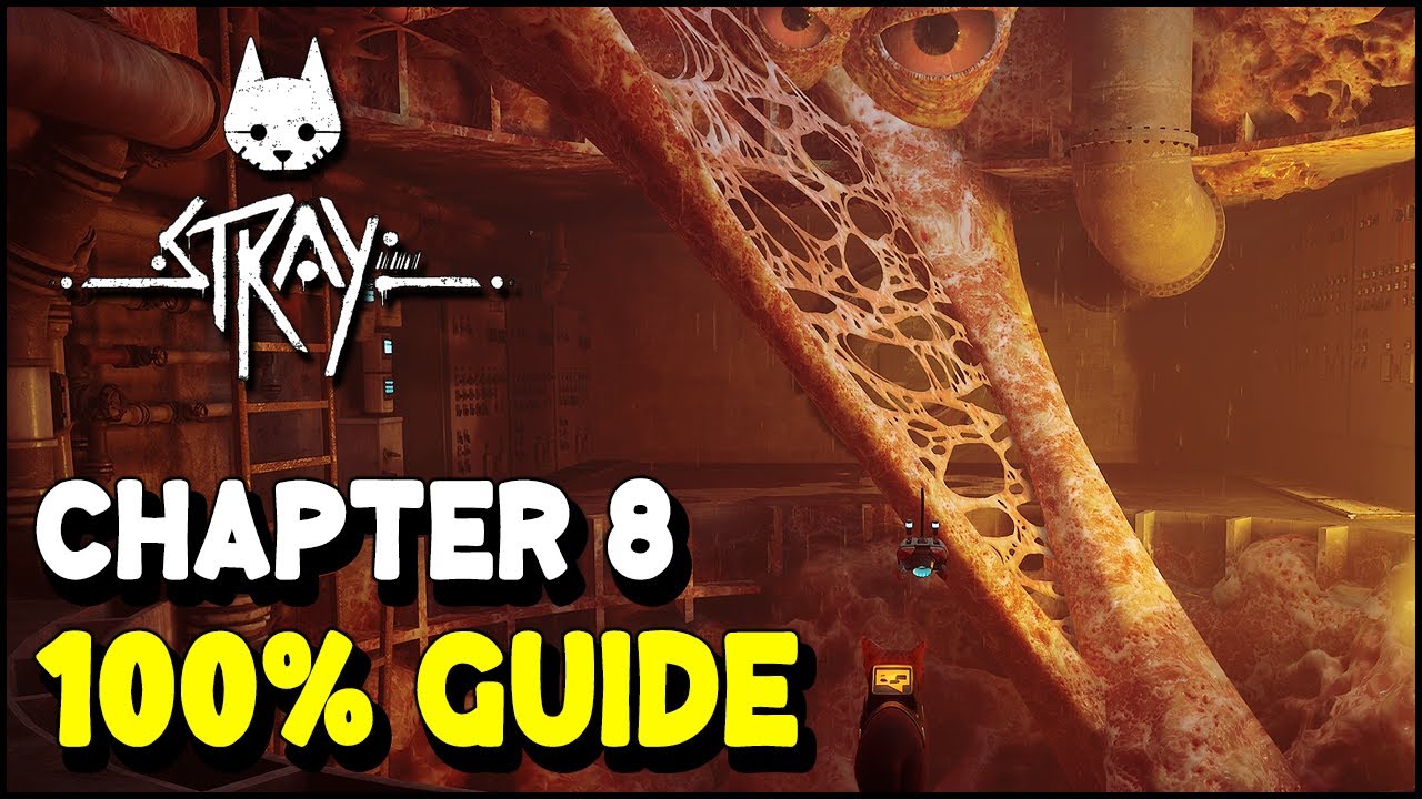 Stray CHAPTER 8: THE SEWERS 100% Guide (All Collectibles & Trophies ...